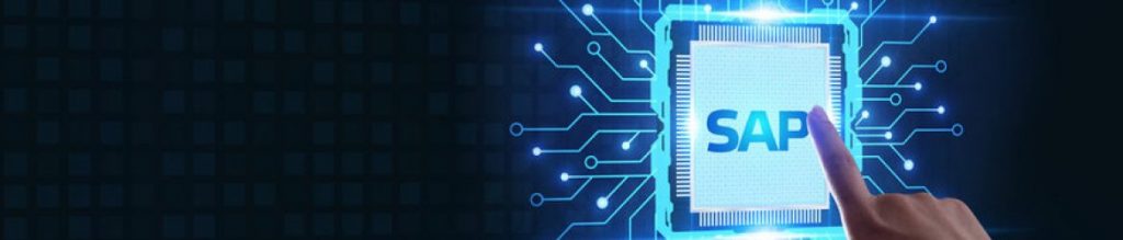 Les rôles et autorisations dans SAP - www.sapworld.net